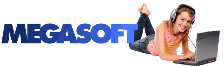 Hilfe & FAQ | megasoft IT GmbH & Co. KG